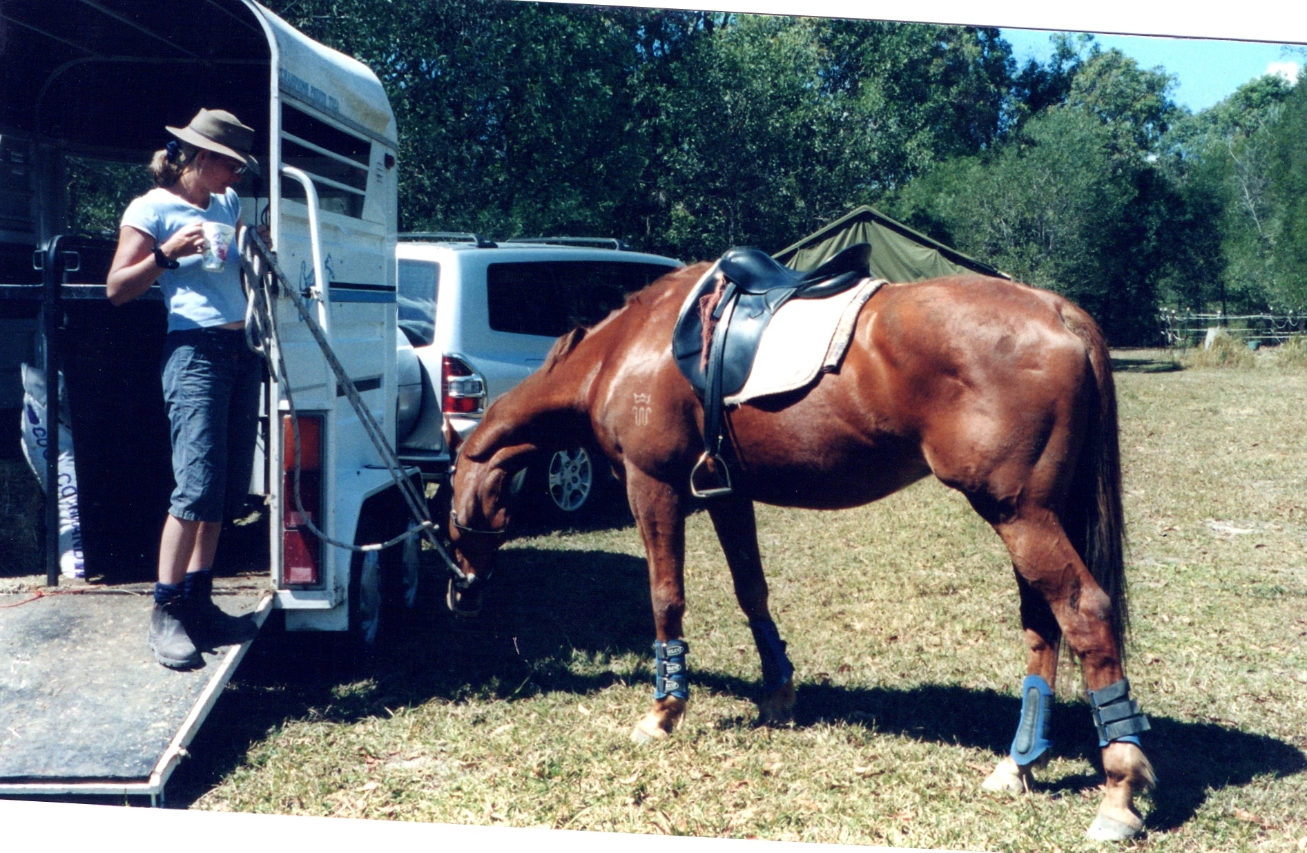 HORSE TRAINING – Mary Valley Equine Training Centre